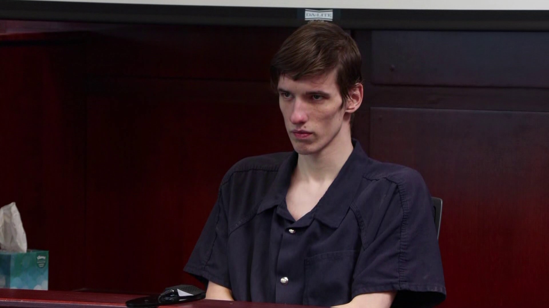 Paul Ferguson sentenced to prison for brother's abuse | wzzm13.com