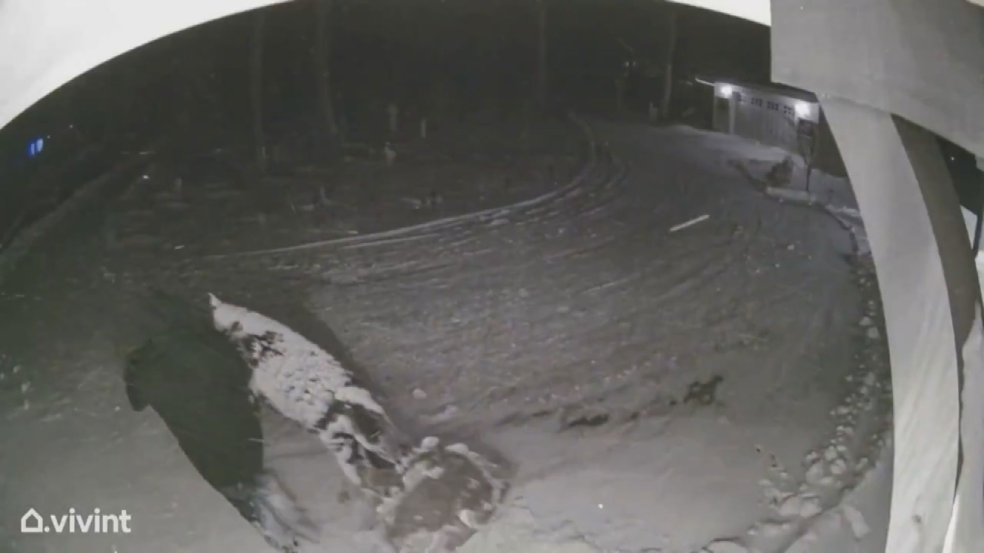 10-year-old with no pulse revived by Calhoun Co. deputies | wzzm13.com