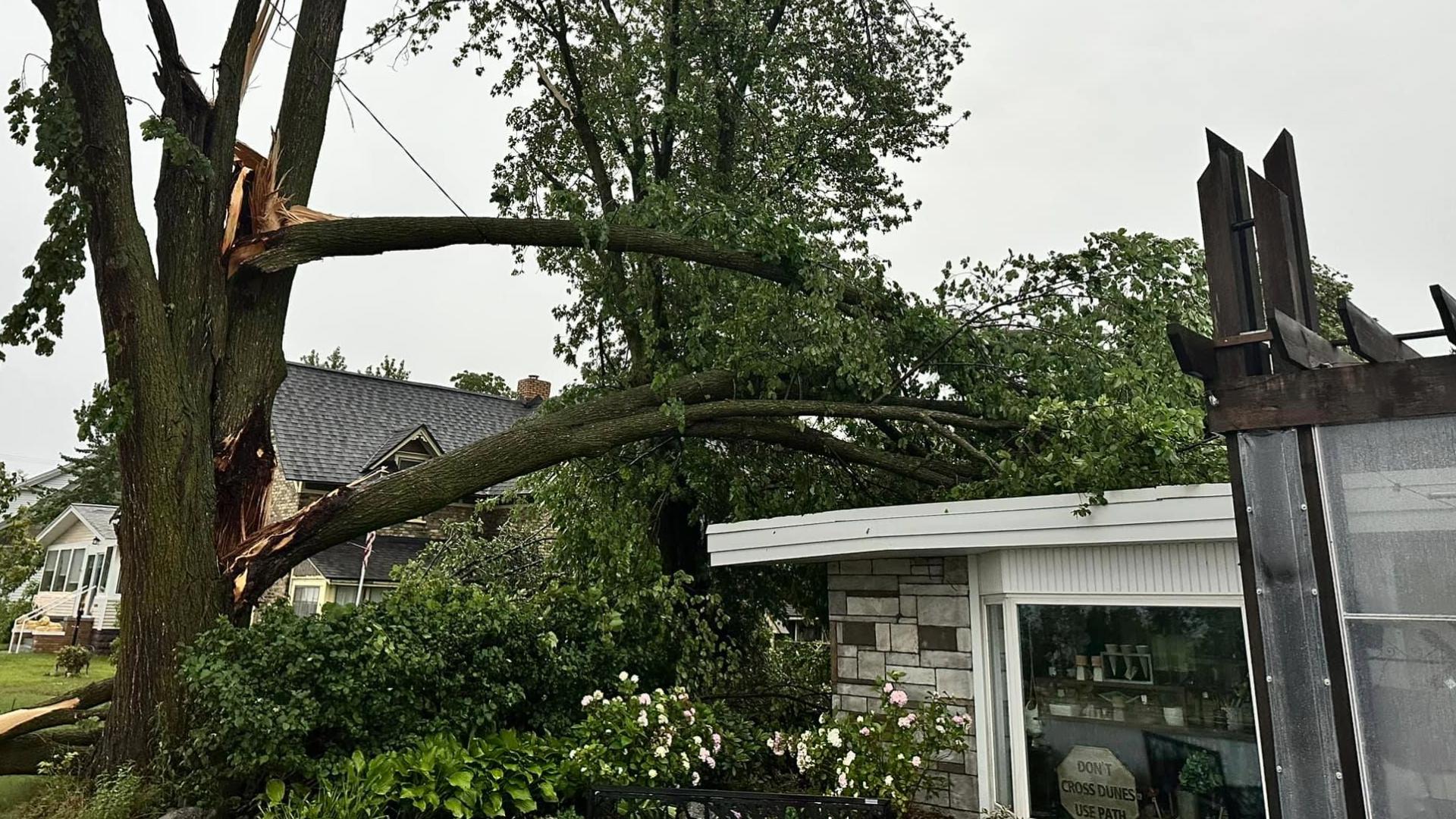 Muskegon flower shop still filling orders despite storm damage | wzzm13.com