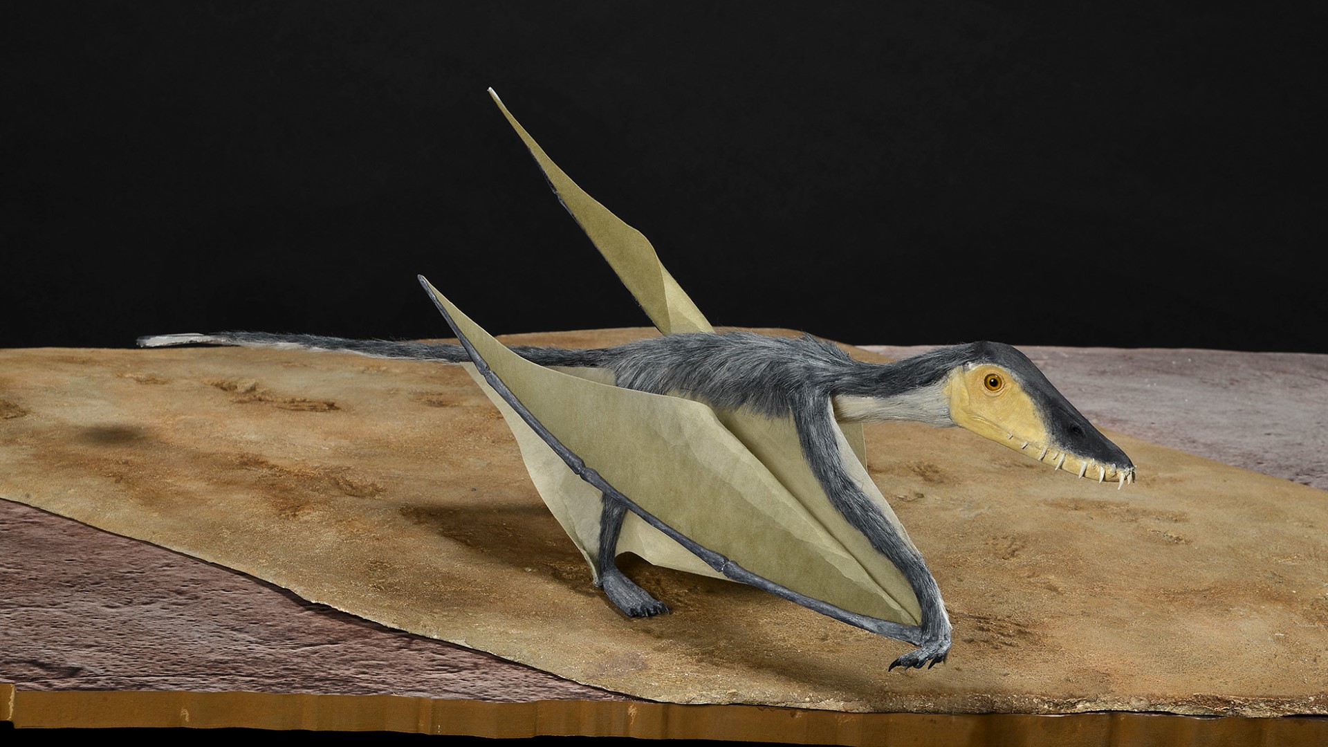 Pterosaurs: Flight in the Age of Dinosaurs exhibit at GRPM | wzzm13.com