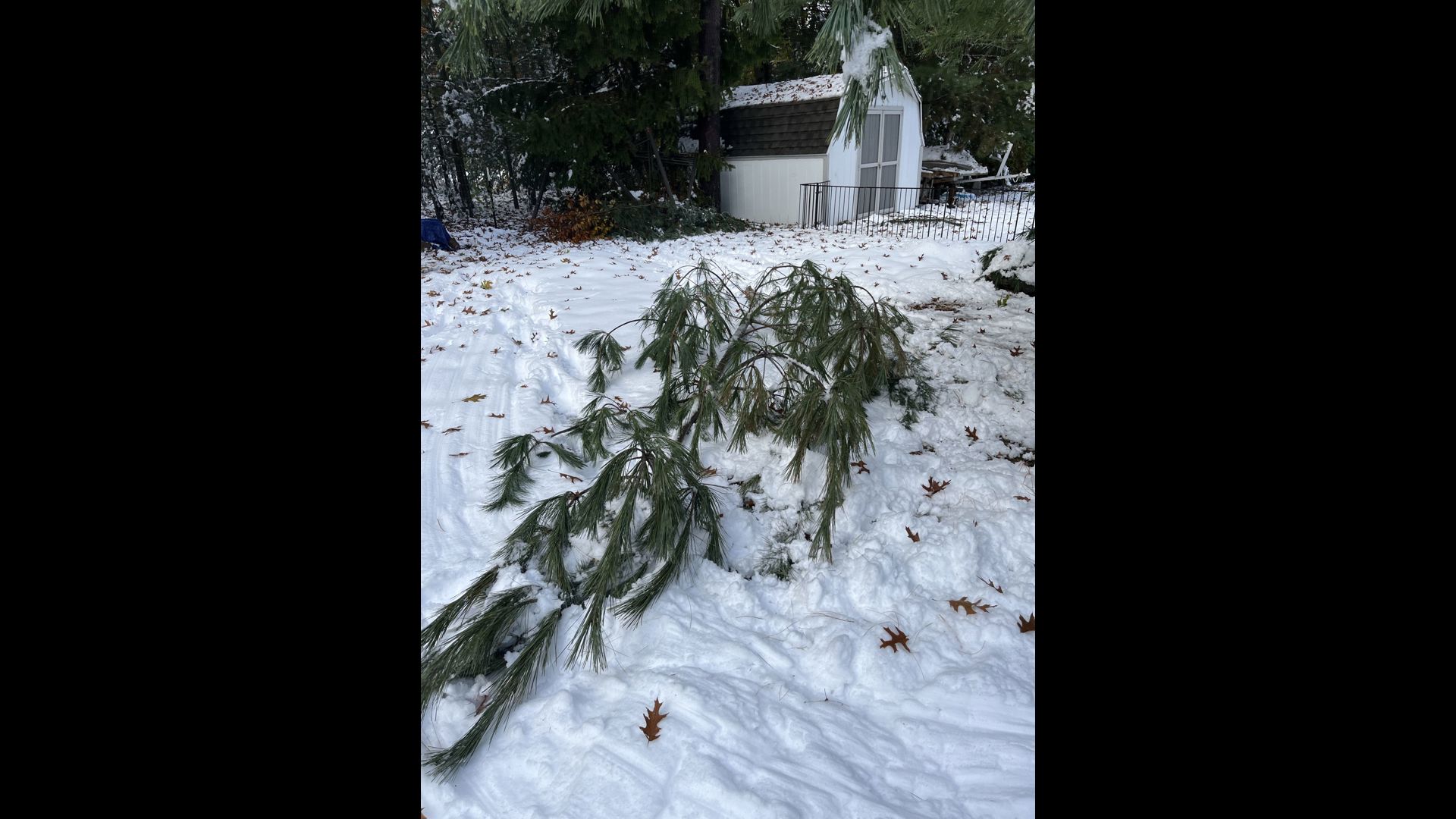 Near Me | wzzm13.com