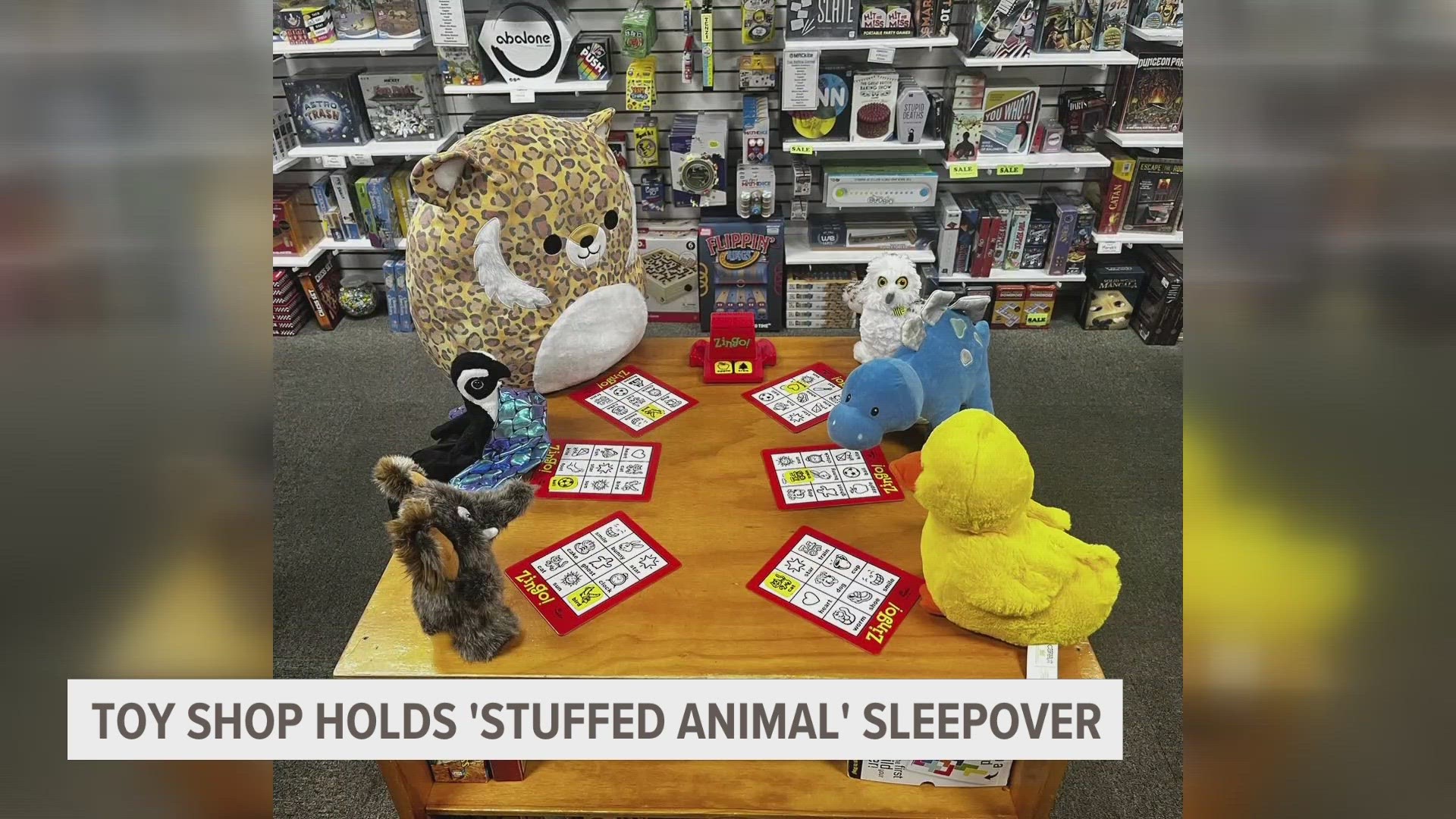Grand Haven toy store hosts 'stuffy sleepover' | wzzm13.com