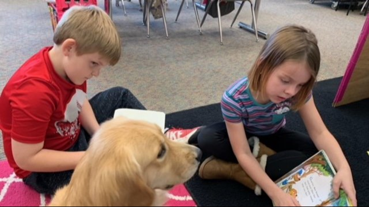 Paws with a Cause program is making school better for kids | wzzm13.com