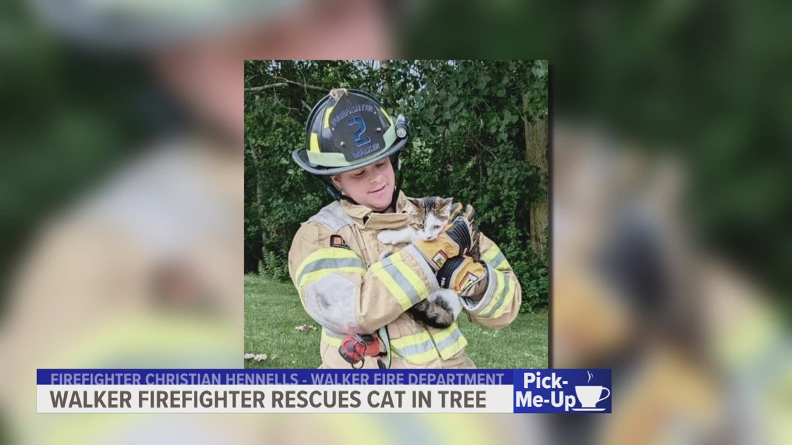 Nice save! Firefighter rescues cat from tree in Walker | wzzm13.com