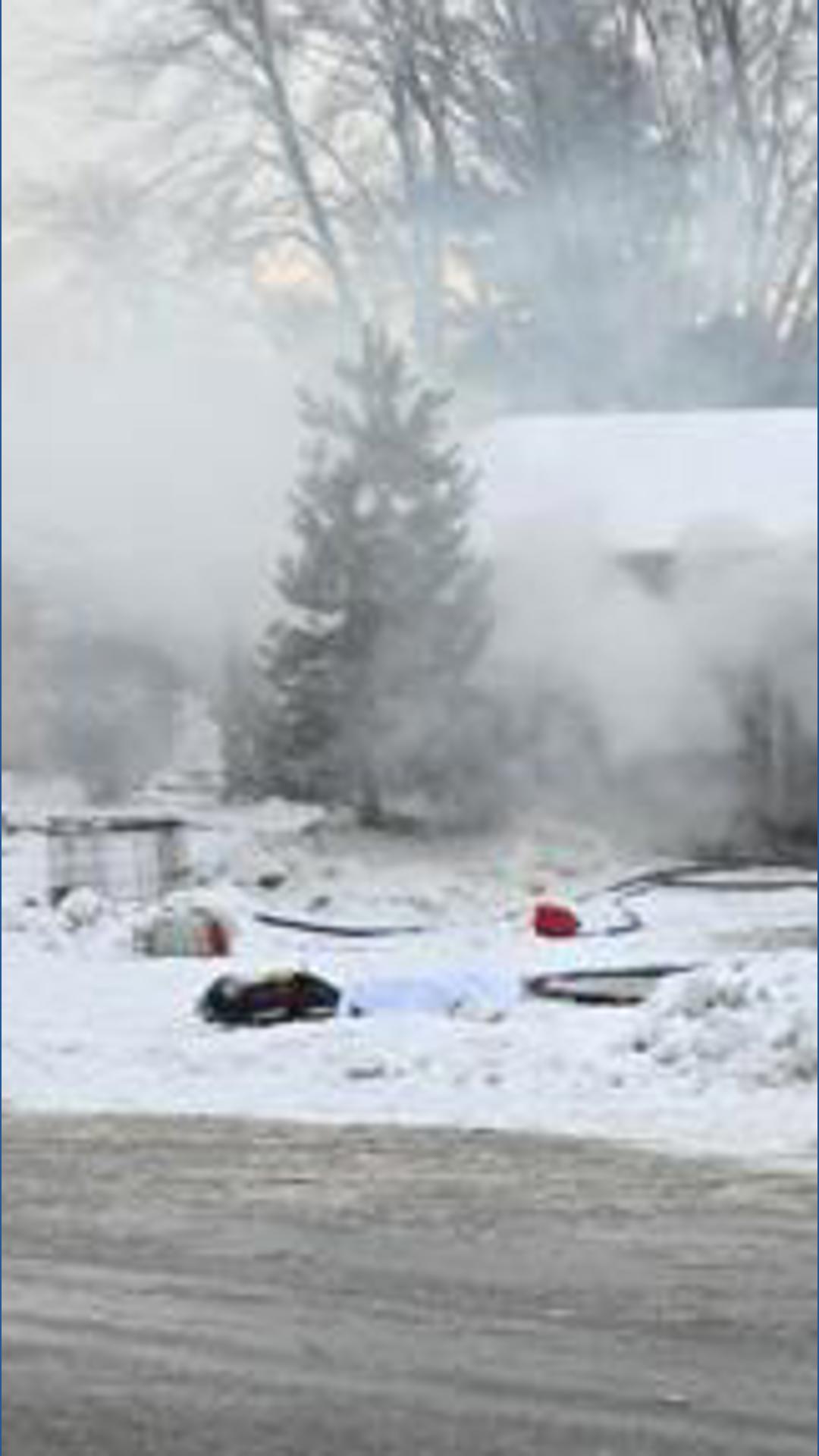 Plainfield Twp. Fire Chief: 2 dogs dead, home 'total loss' after fire ...