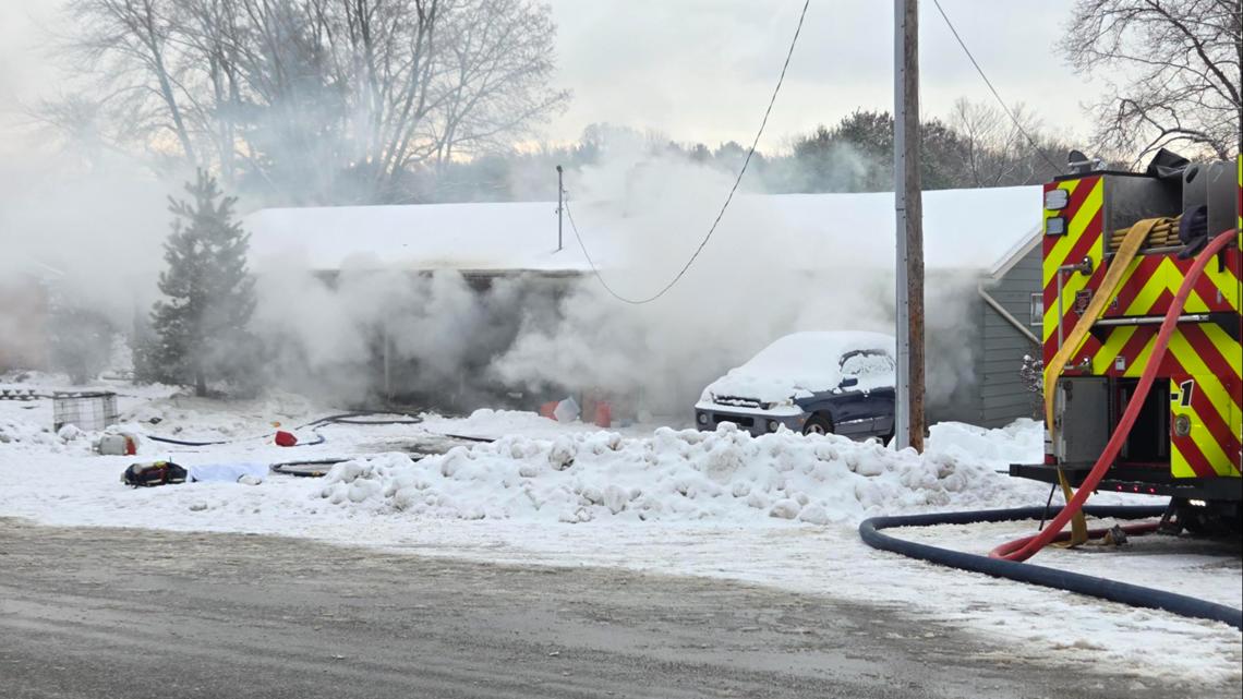 Plainfield Twp. Fire Chief: 2 dogs dead, home 'total loss' after fire ...