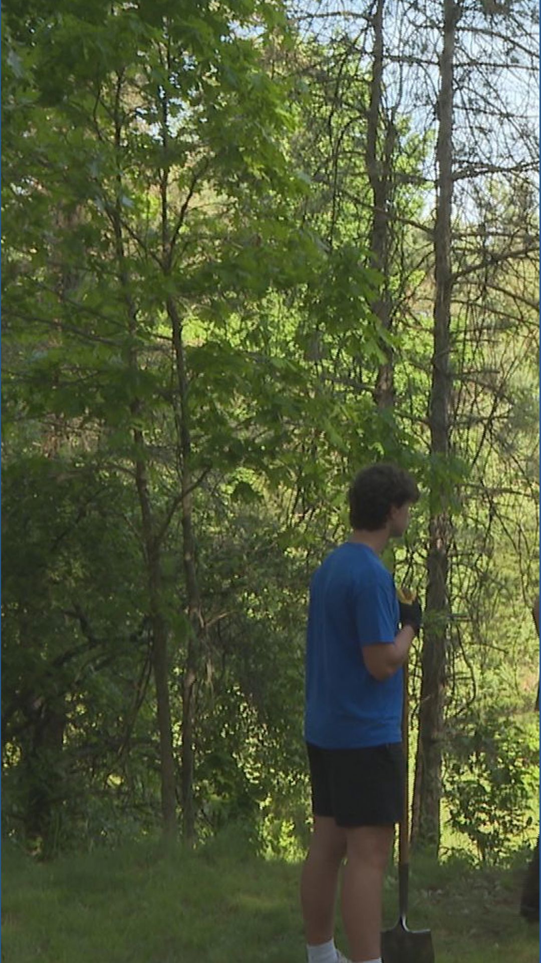 Local Boy Scout builds bat boxes to install in West Michigan parks ...