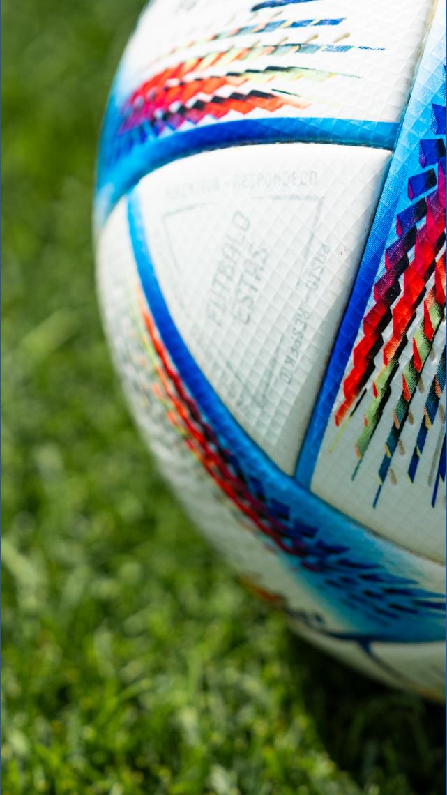 Fifa World Cup 2026 will use turfgrass from Michigan State for all 16 ...