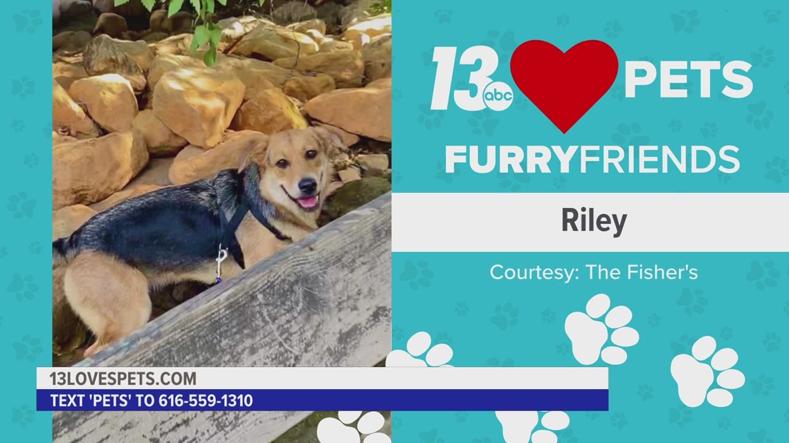 Furry Friends: October 18, 2022 | Riley | wzzm13.com