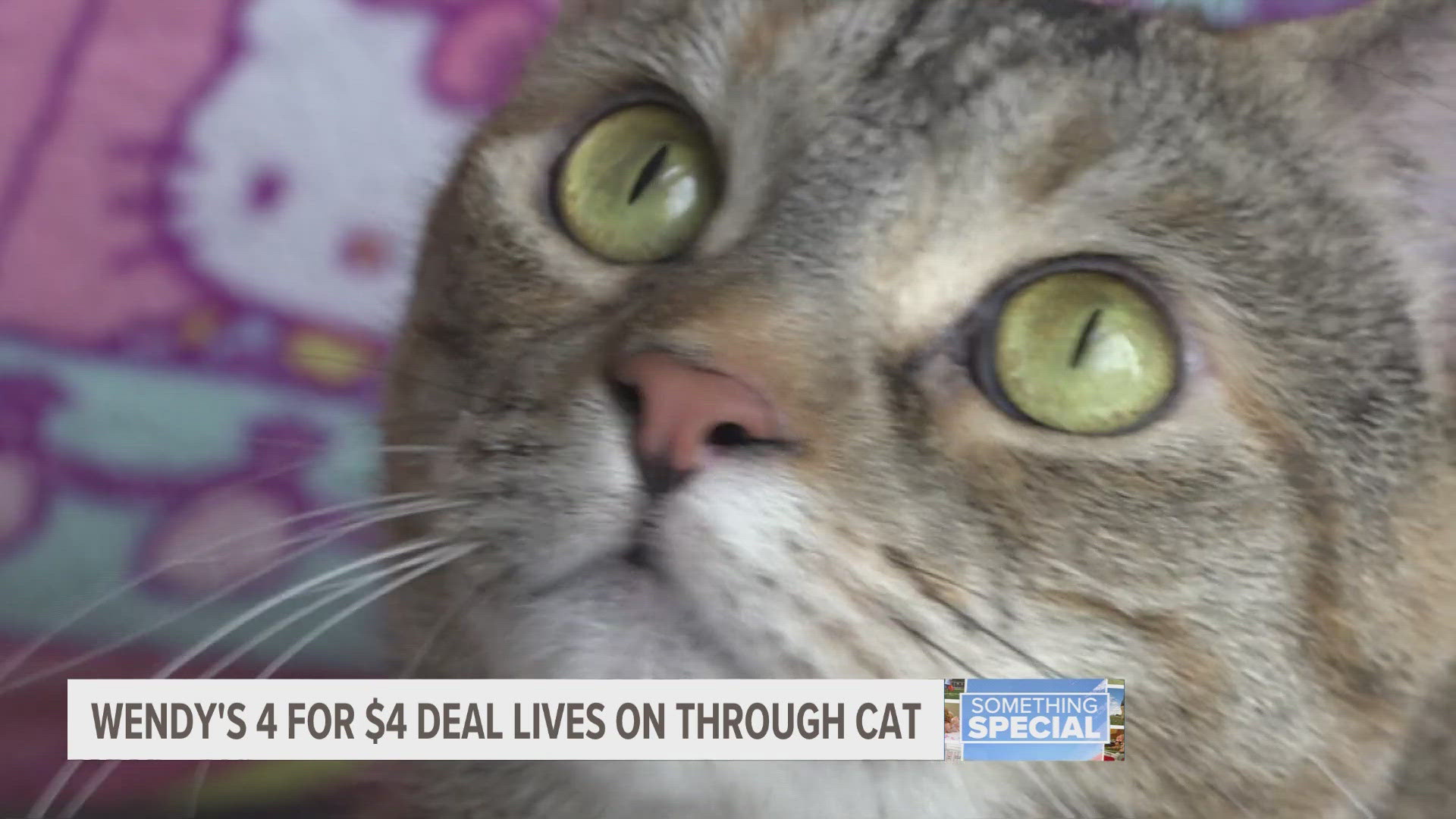 The last '4 for $4': West Michigan cat takes fast food name to award ...