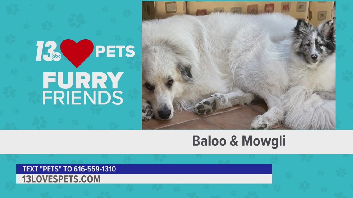 Furry Friends: July 5, 2024 | Baloo & Mowgli | wzzm13.com
