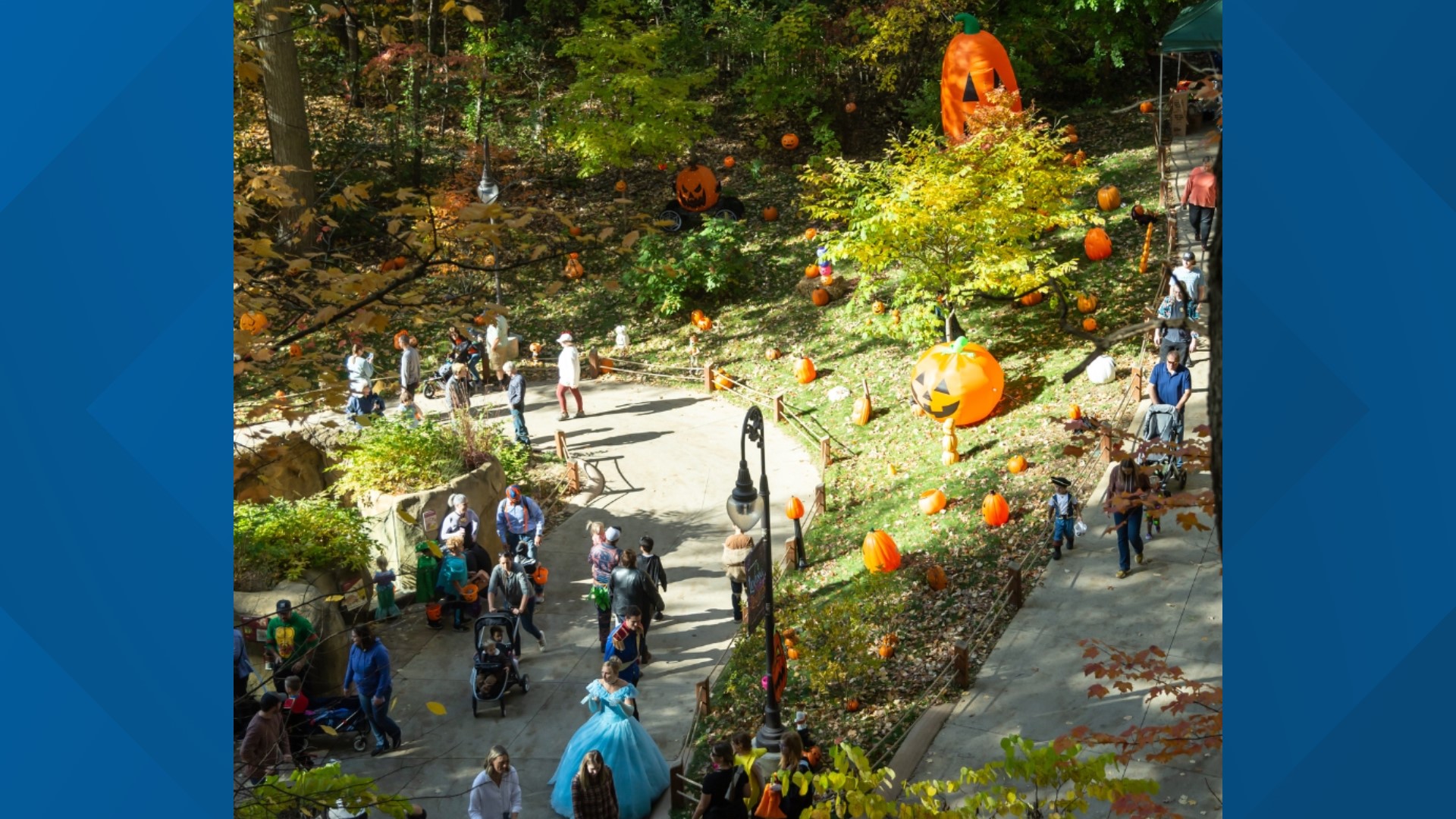 Zoo Goes Boo event returns to John Ball Zoo for Halloween | wzzm13.com