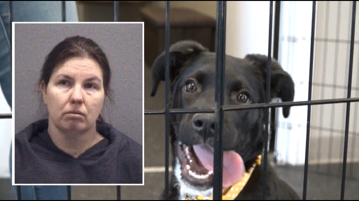 Lisa Cober trial delayed as shelters grow upset | wzzm13.com