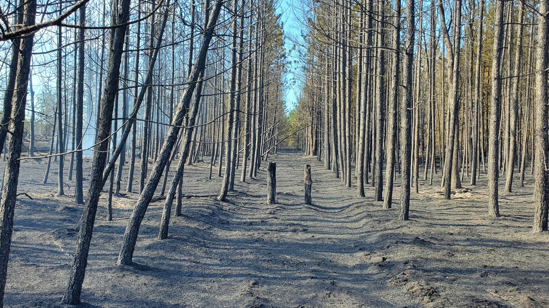 Northern Michigan fire now nearly completely contained | wzzm13.com