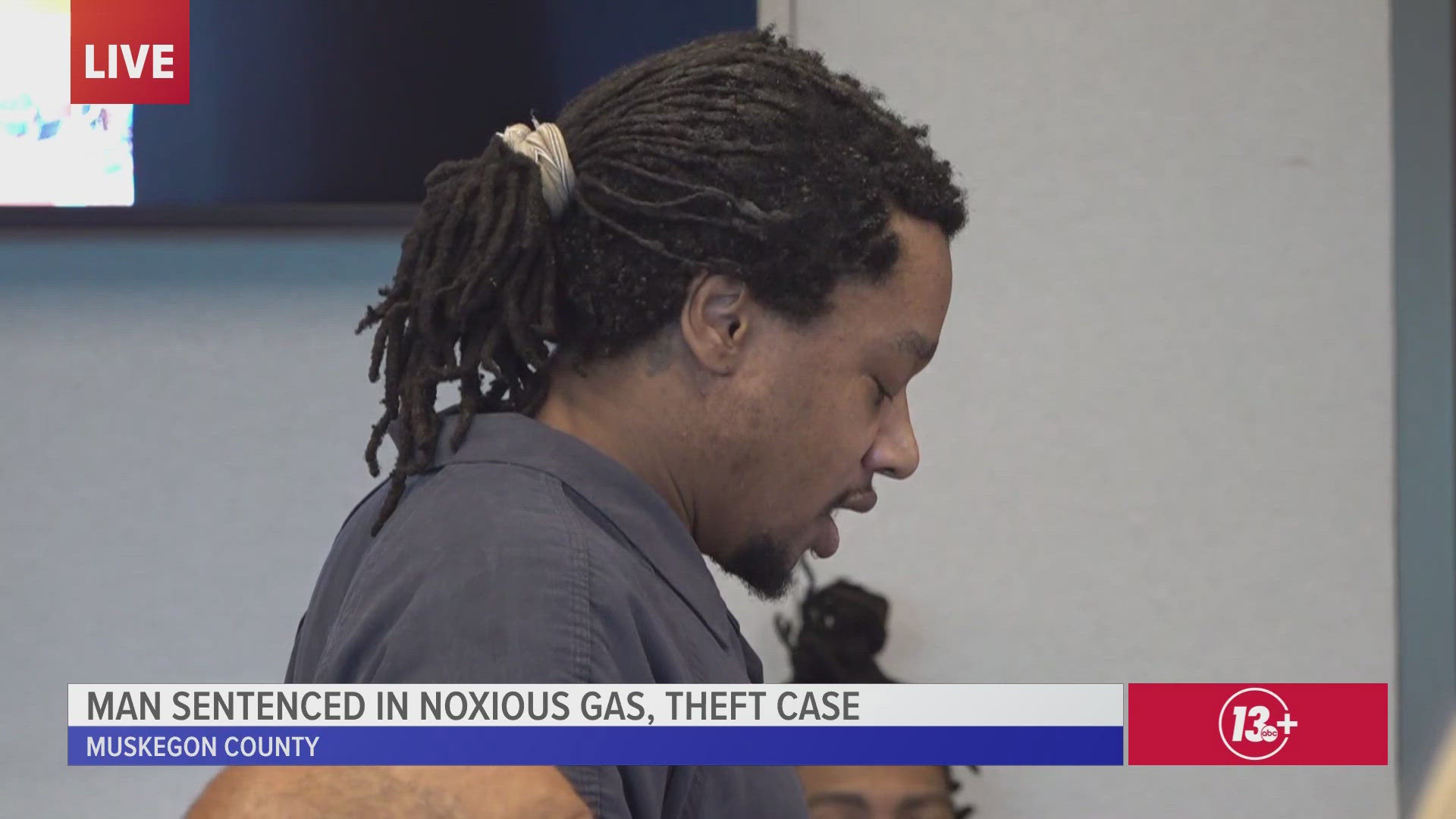 Man sentenced in Fruitport noxious gas incident says it's 'one of the ...