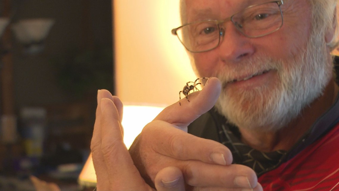 Bob the Spider Hunter works to make spider less scary | wzzm13.com
