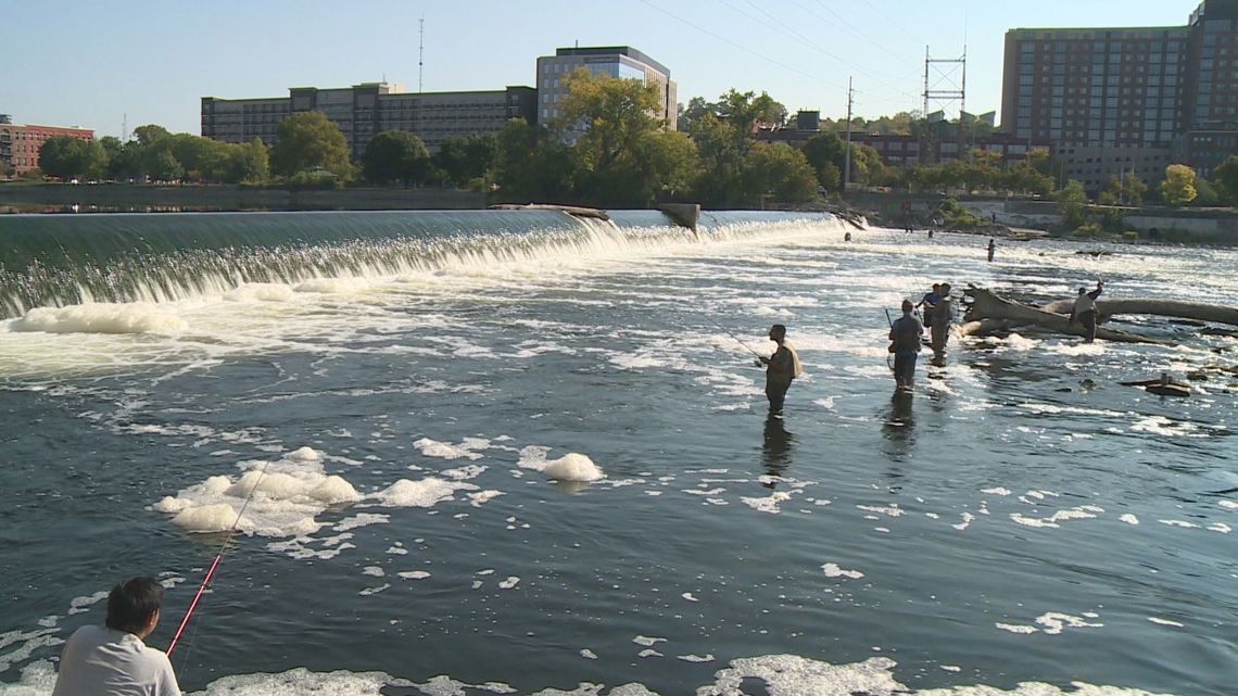 Michigan's fall salmon run in full swing despite hot weather | wzzm13.com
