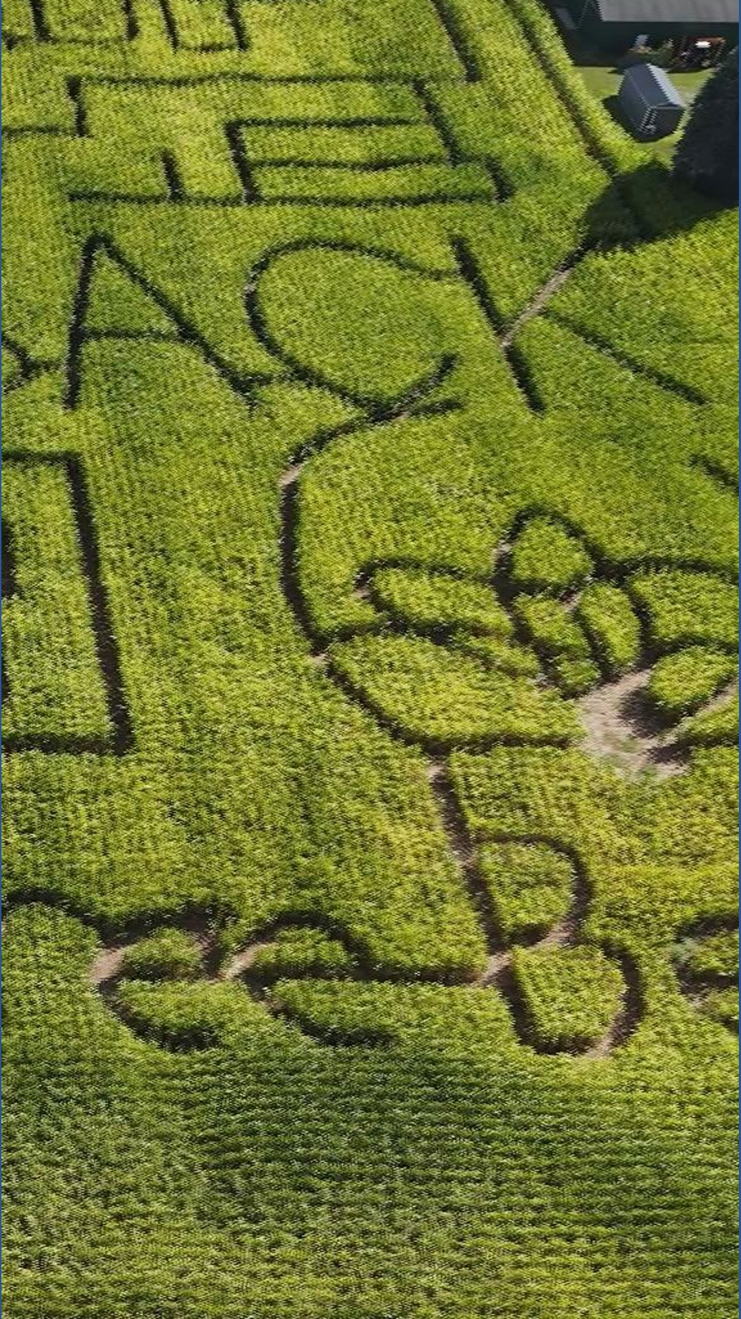 Crane Orchards corn maze shows gratitude to hospitals | wzzm13.com
