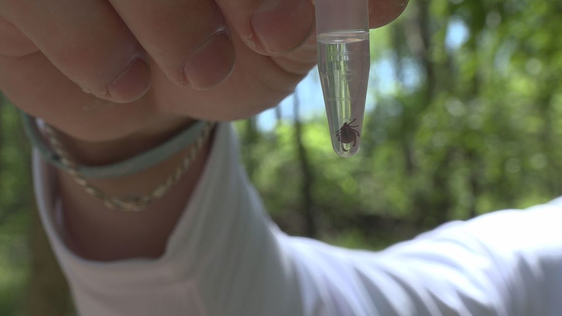 Researchers seeing earlier tick activity with warm spring | wzzm13.com