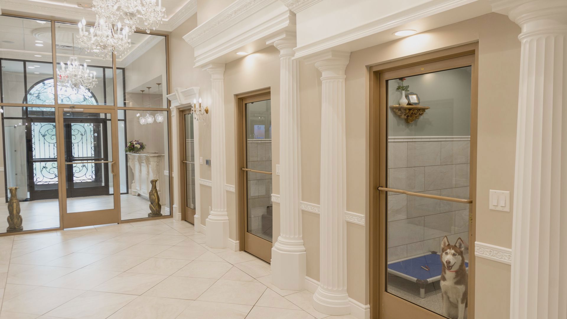 Luxury pet hotel set to open in Grand Rapids in August | wzzm13.com