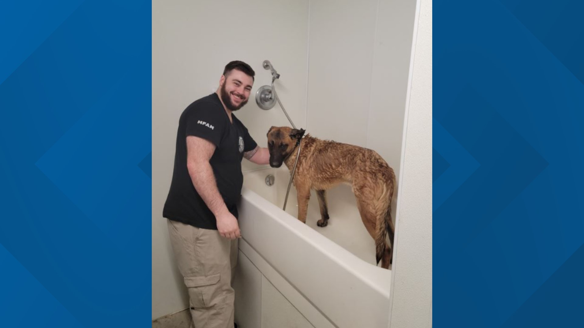 Trinity Health launches K-9 program to address workplace violence ...