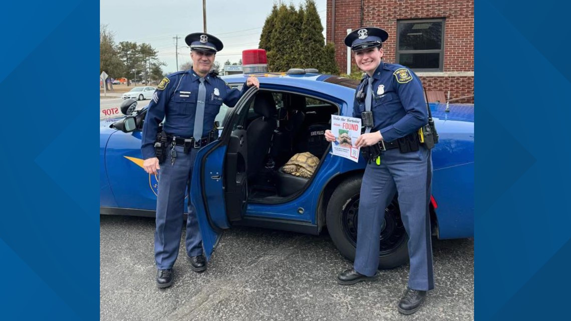 Missing tortoise found by Michigan State Police | wzzm13.com