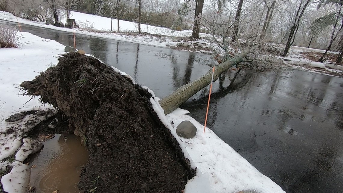 Homeowner shares video of ice coated tree fall over his driveway ...
