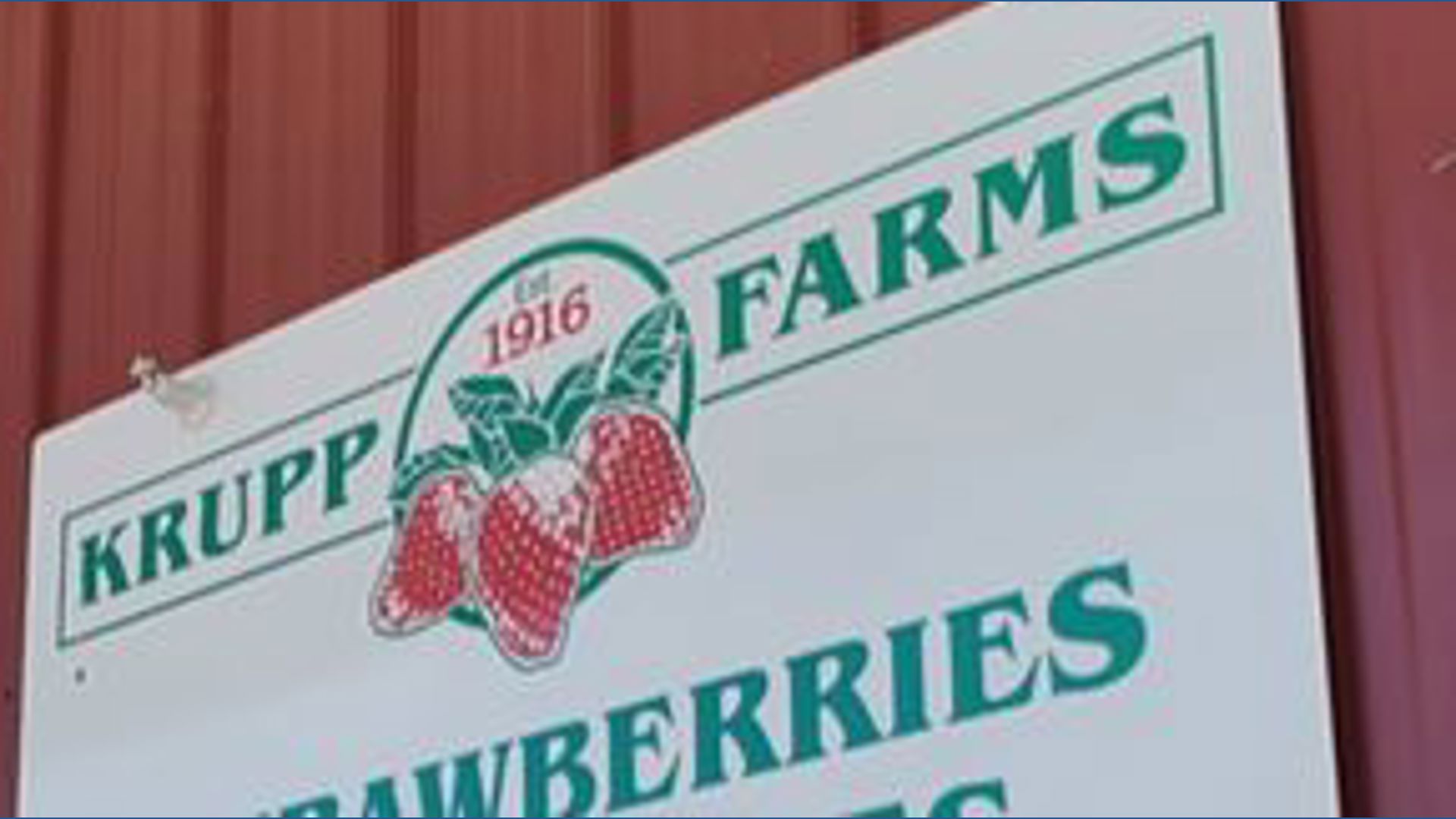 Krupp Farms getting ready to open its strawberry fields for the season ...