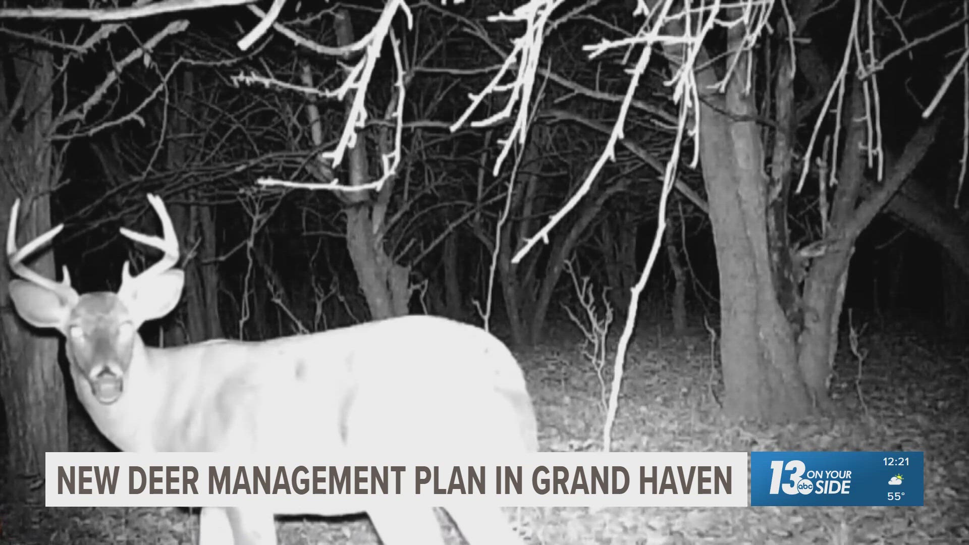 Grand Haven approves new $25K deer management plan | wzzm13.com