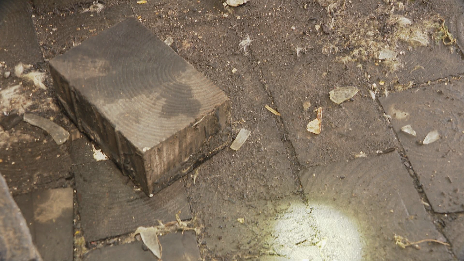 An exclusive look inside Muskegon's Shaw-Walker Building | wzzm13.com