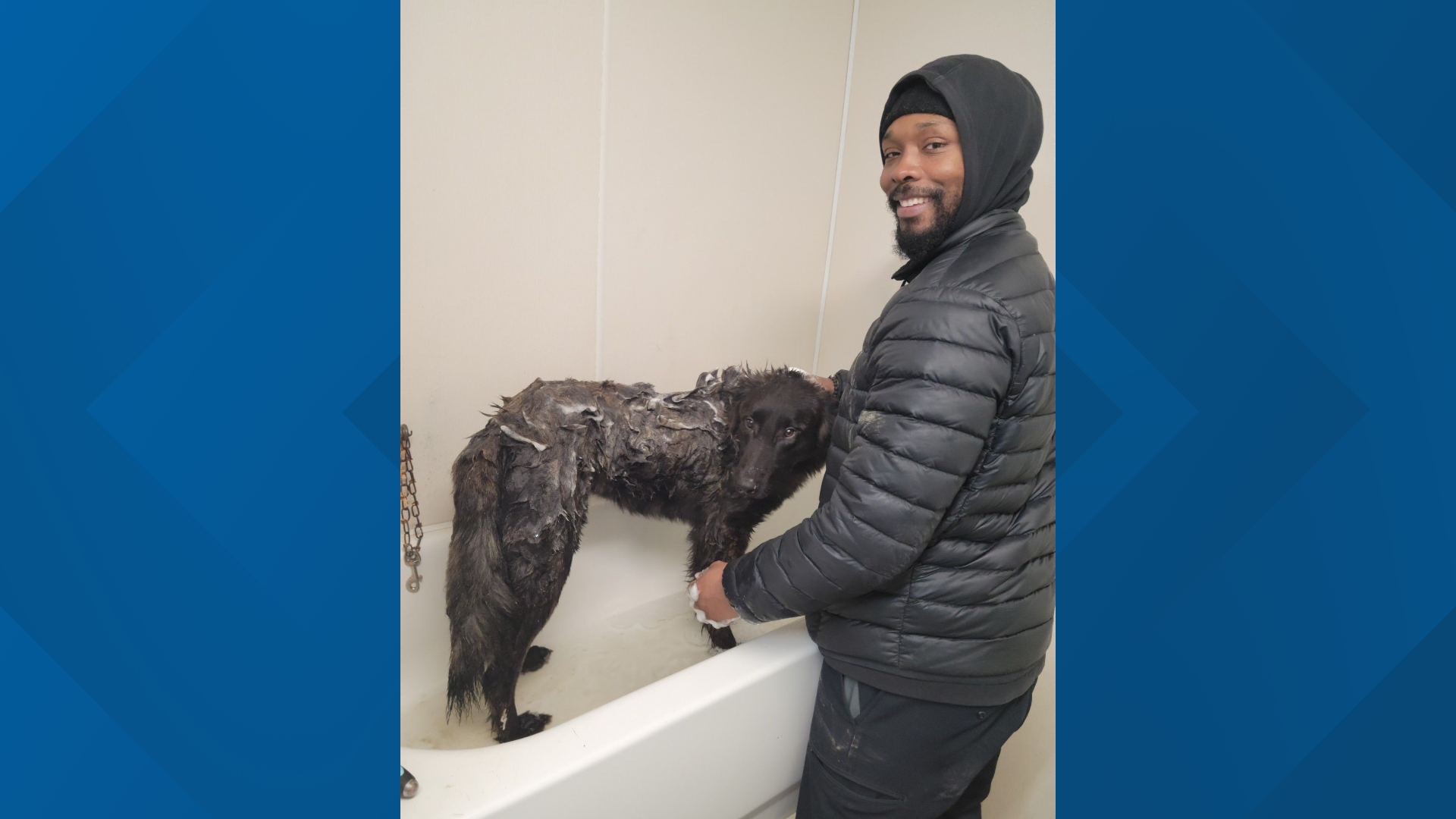 Trinity Health launches K-9 program to address workplace violence ...