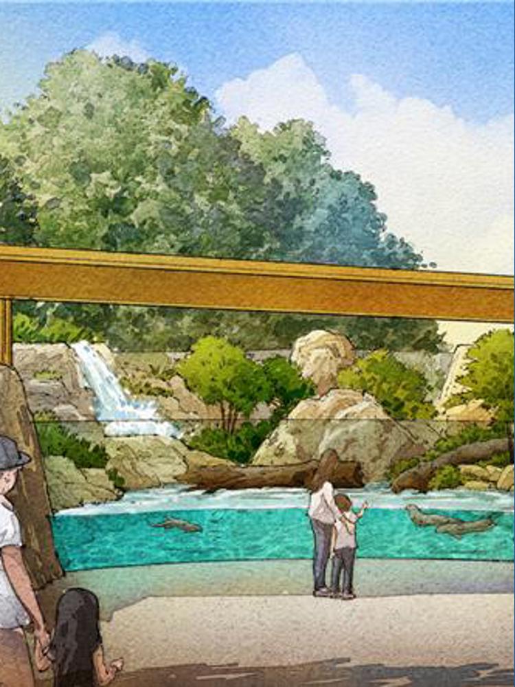 John Ball Zoo upgrading otter habitat | wzzm13.com