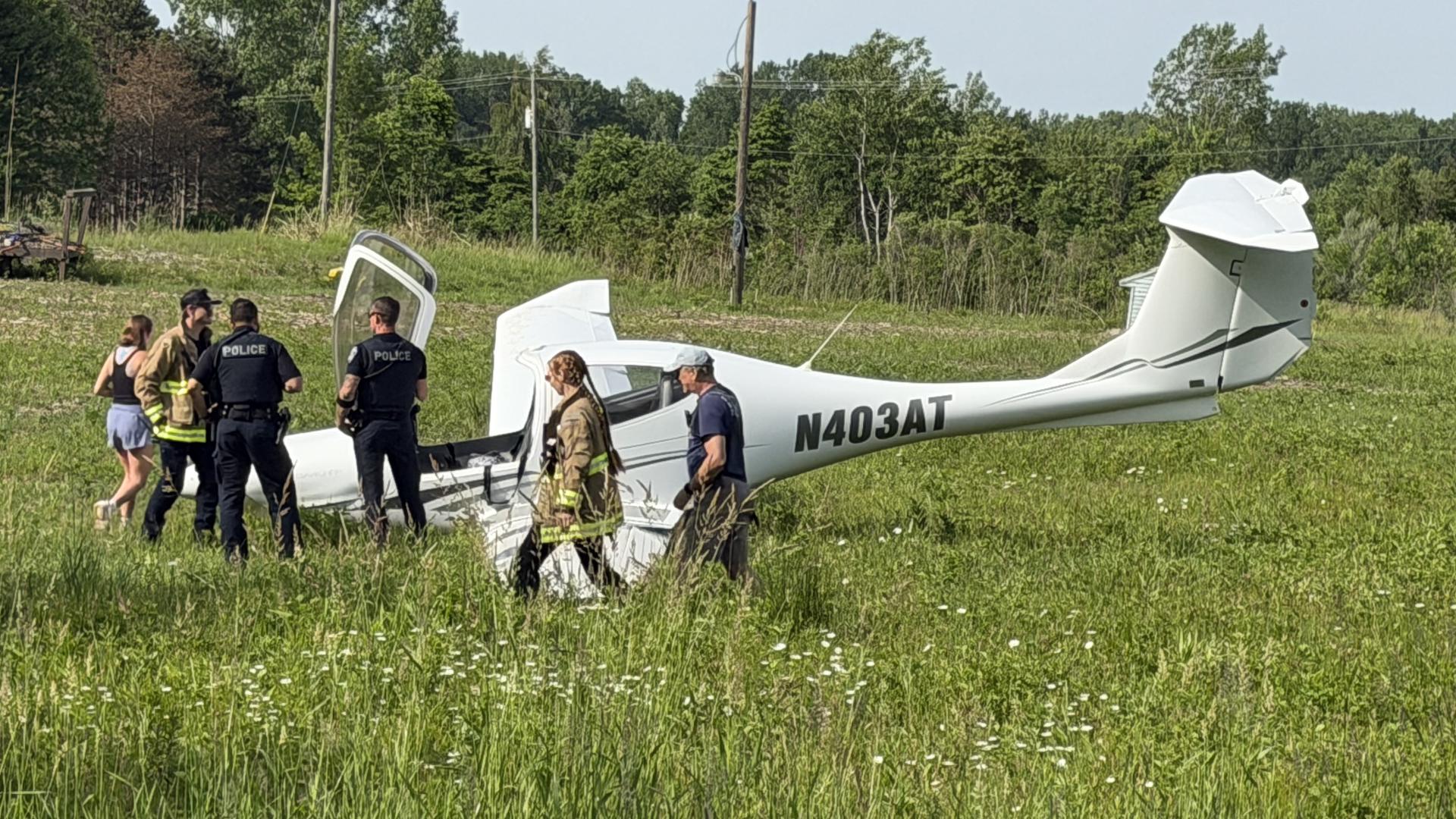 Pilot unscathed after plane crashes in South Haven | wzzm13.com