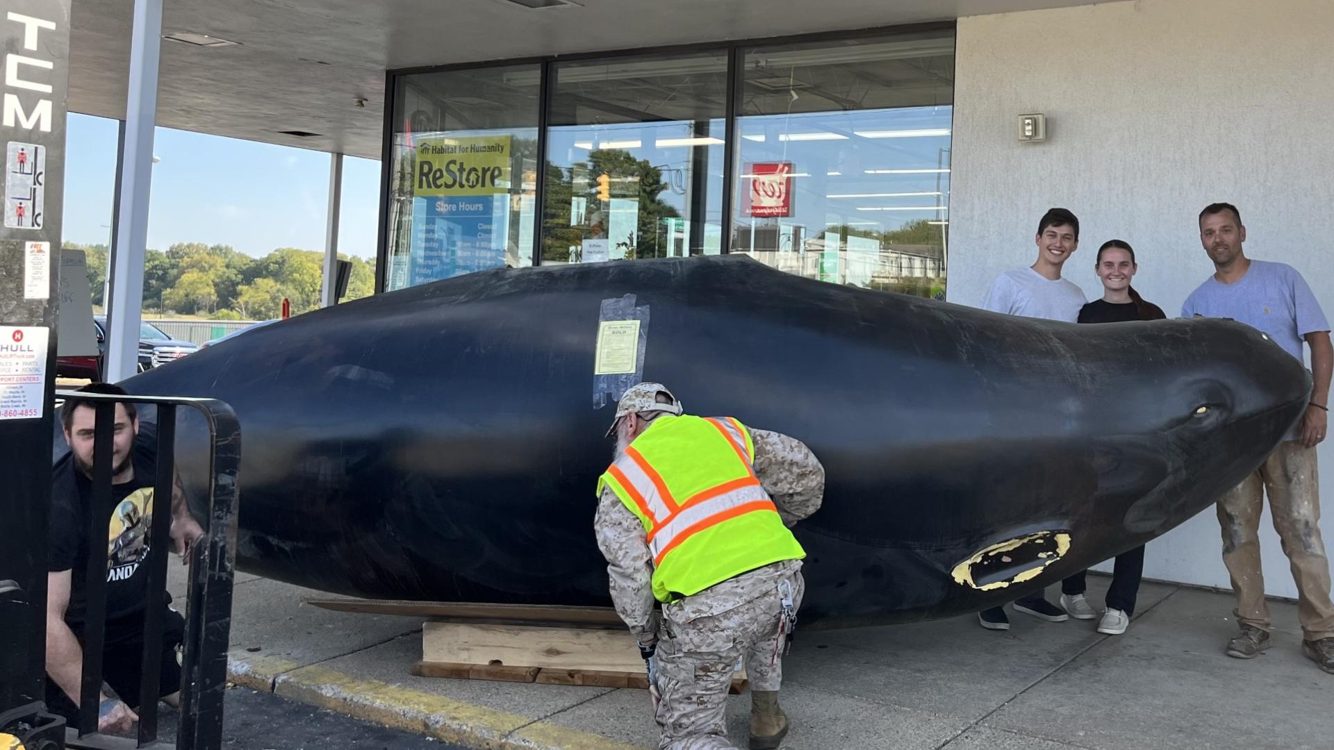 Battle Creek Habitat for Humanity ReStore selling huge fake whale ...