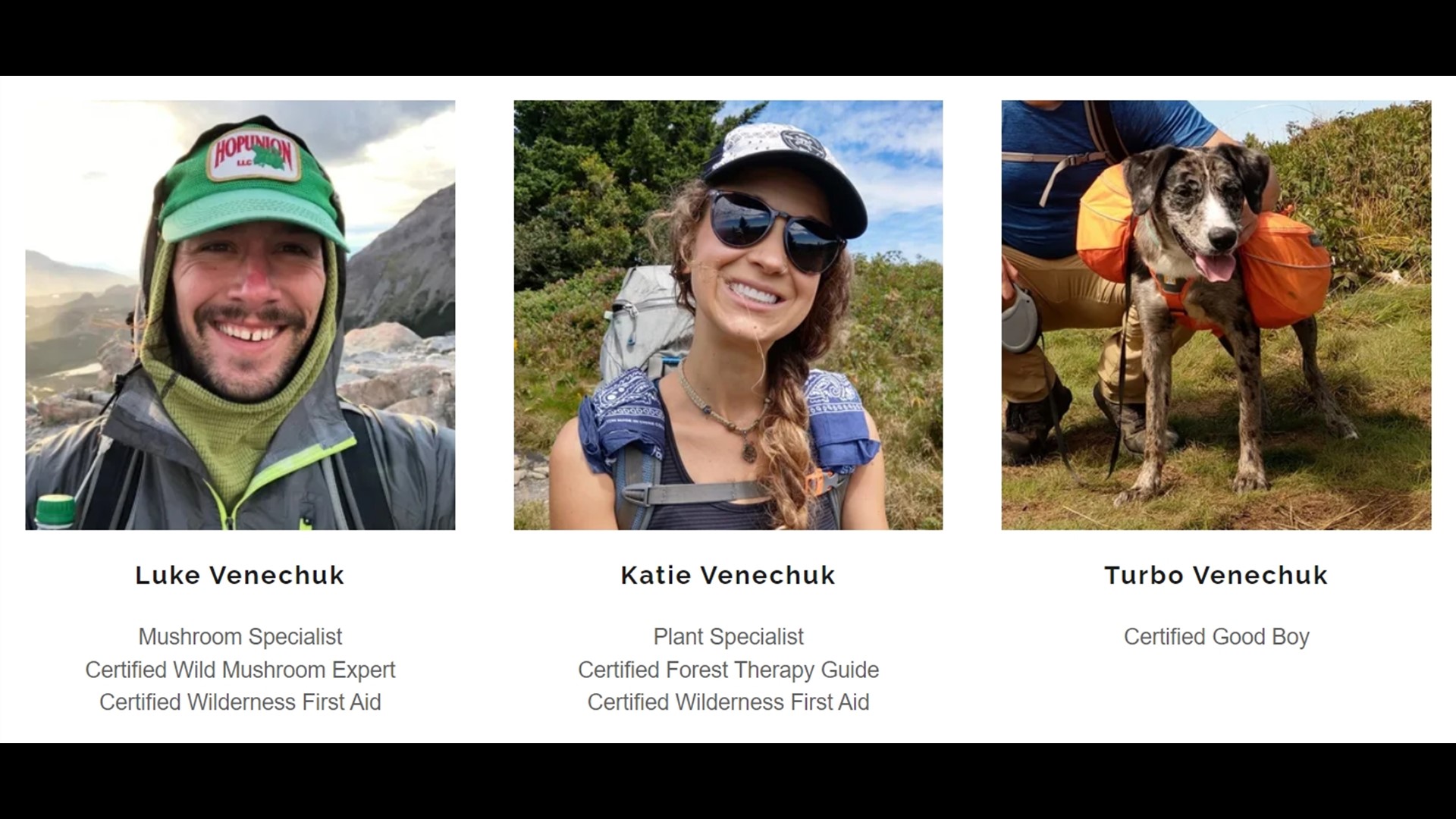 A guide to foraging in West Michigan | wzzm13.com