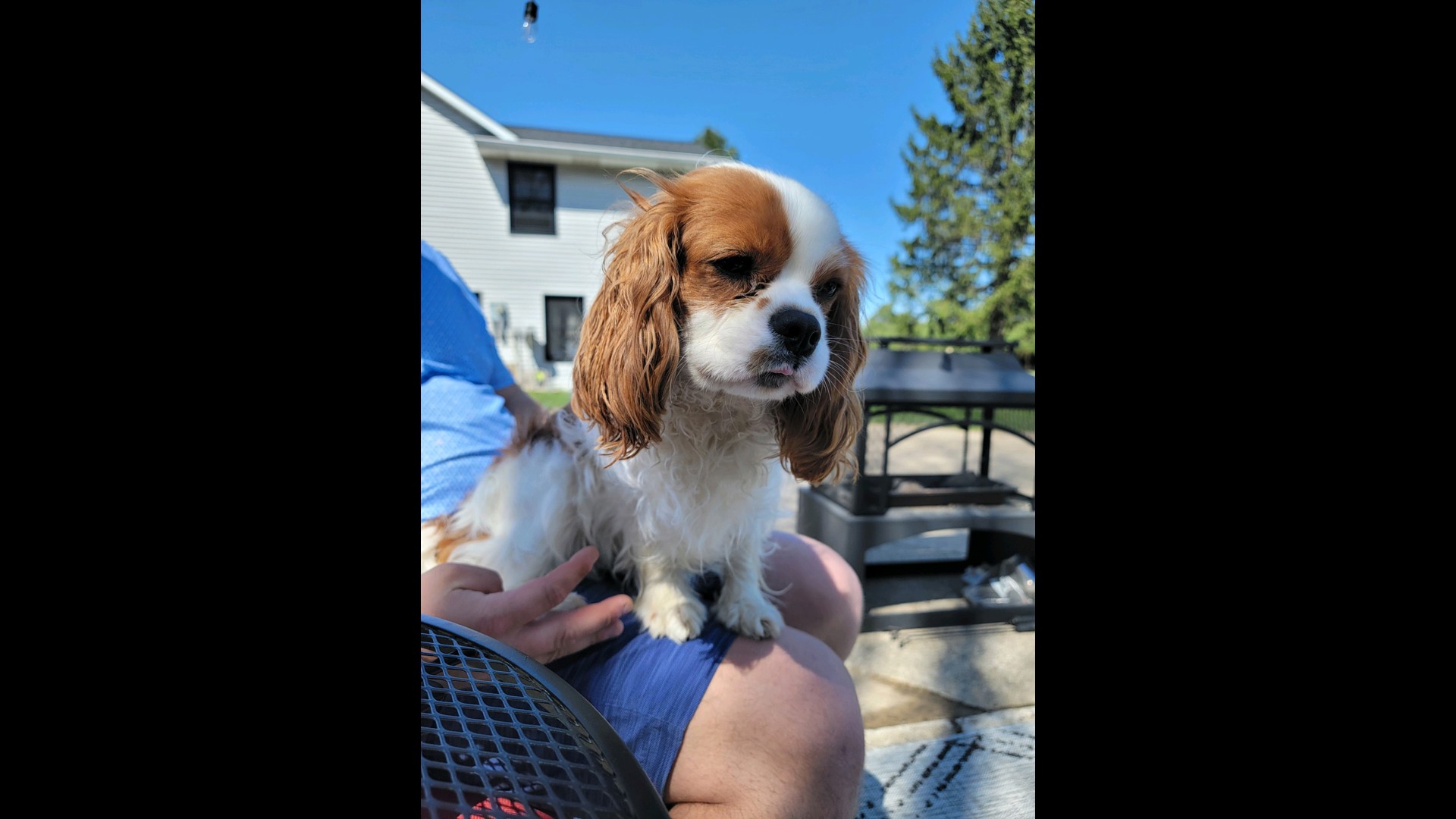 HOPPY April to all our Furry Friends! | wzzm13.com