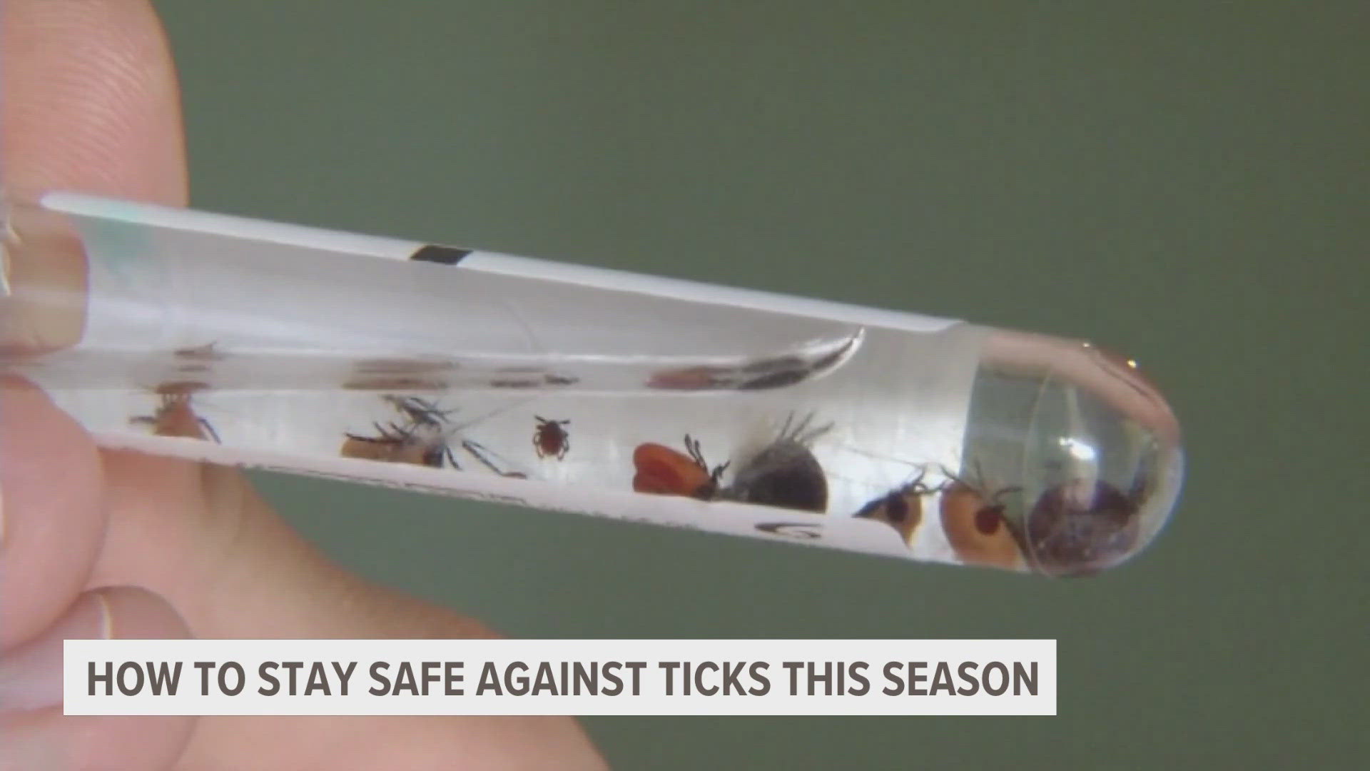 How to stay safe against ticks this season | wzzm13.com