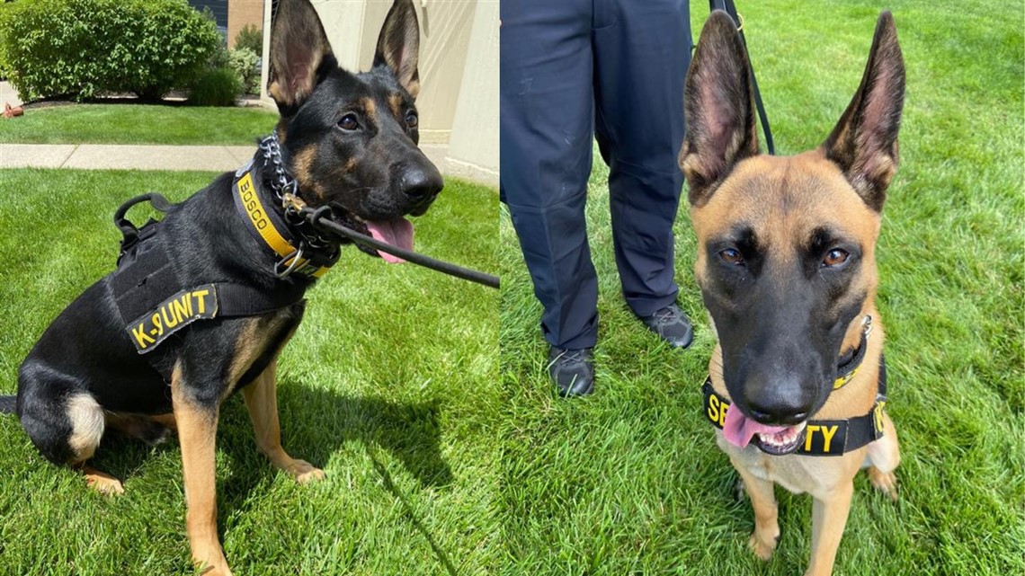 Trinity Health launches K-9 program to address workplace violence ...