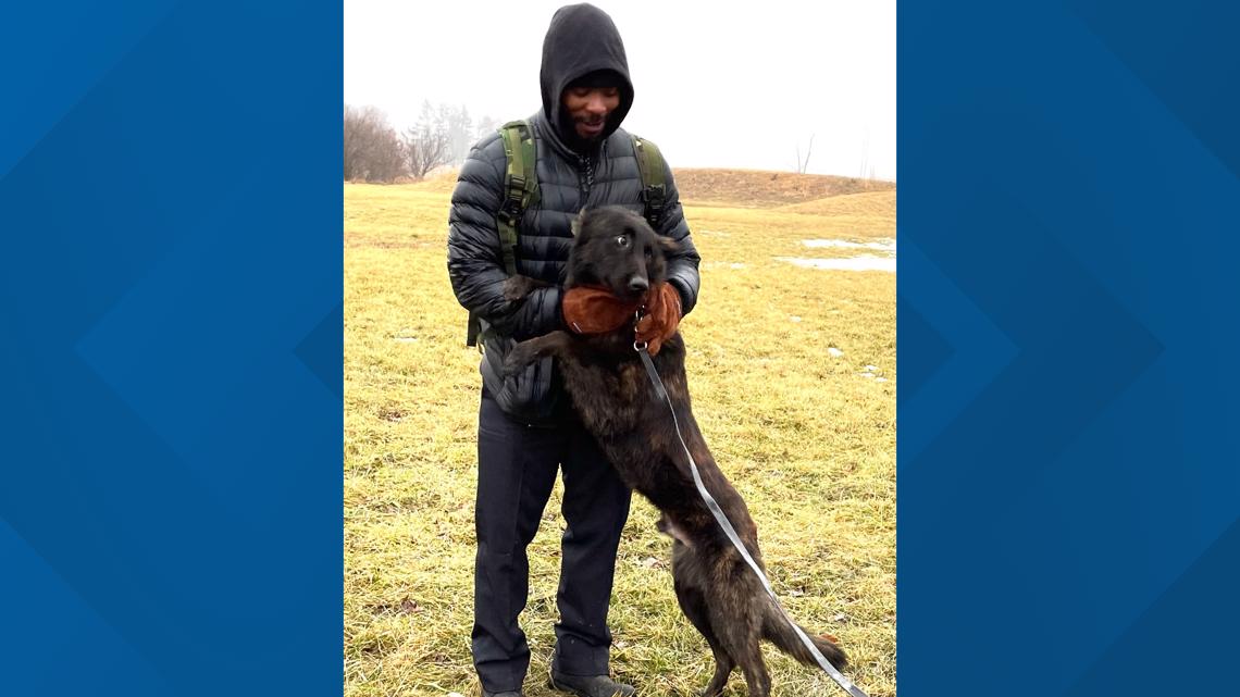 Trinity Health launches K-9 program to address workplace violence ...