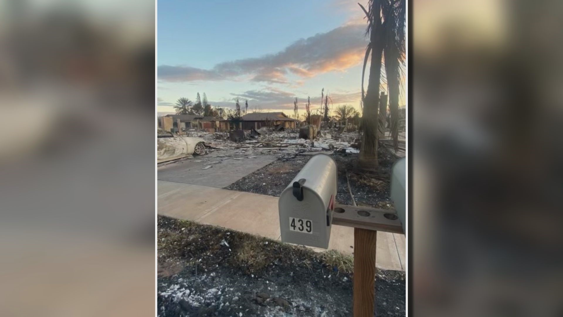Jenison woman dealing with aftermath of Maui fires | wzzm13.com