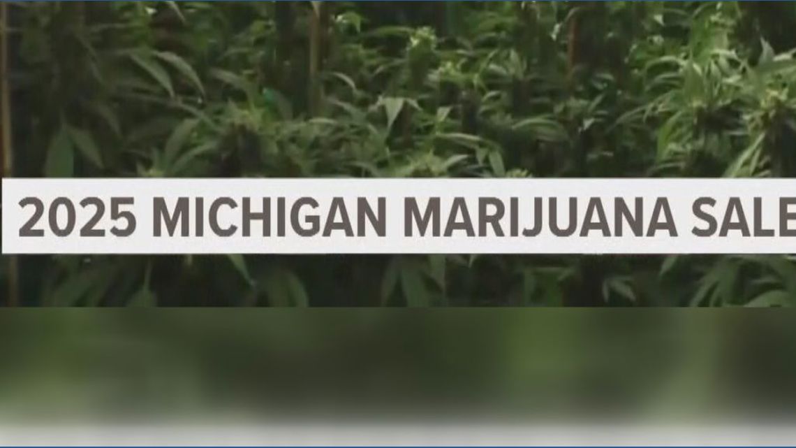 Recapping Michigan adult-use marijuana sales from 2025 | wzzm13.com