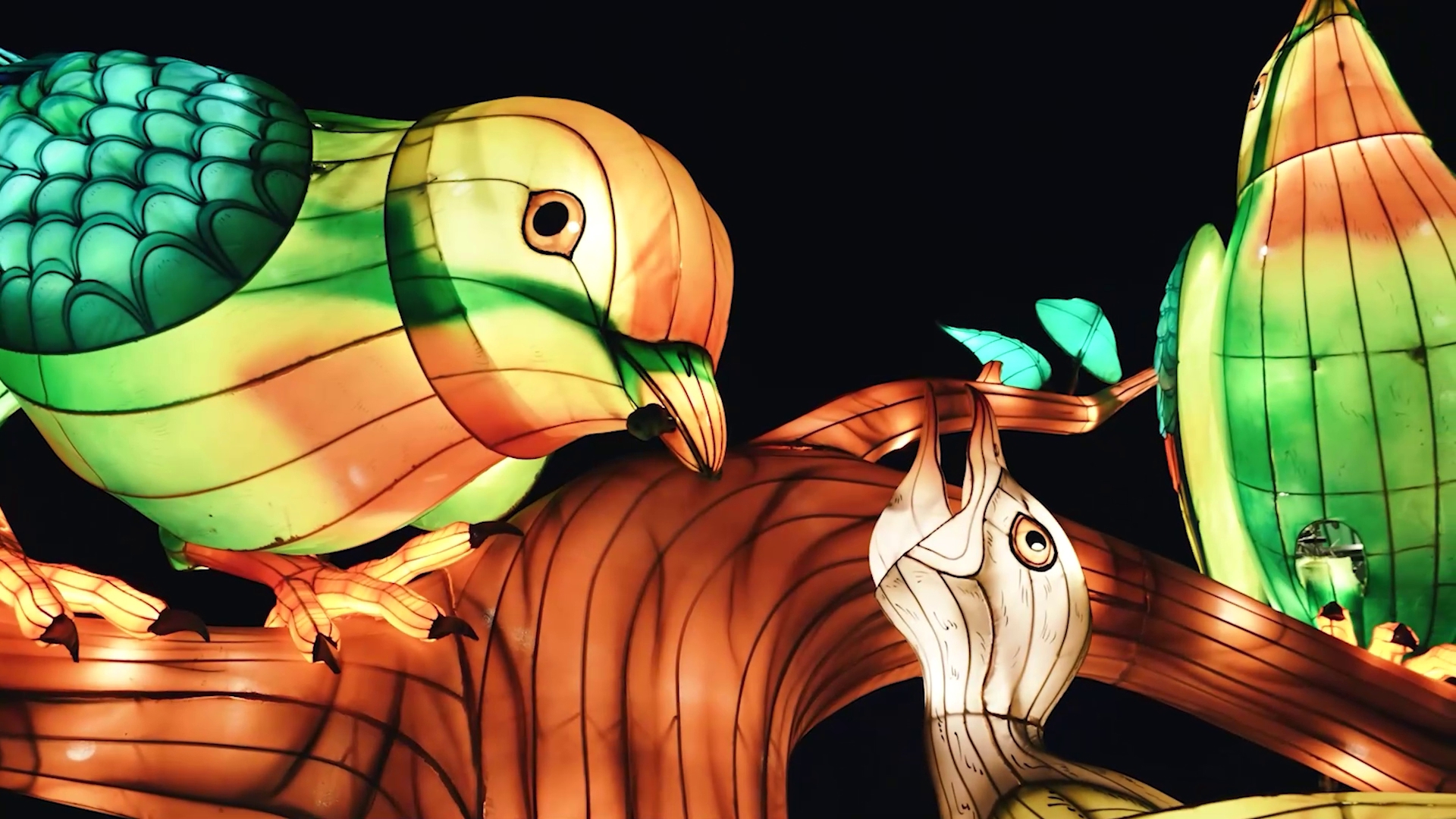 Grand Rapids Lantern Festival 2025 | Ticket info, dates & what to ...
