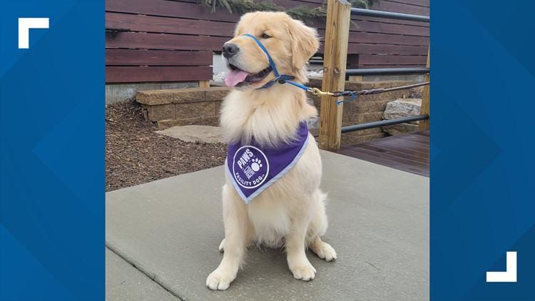 PAWS service dog begins work at Children’s Advocacy Center | wzzm13.com