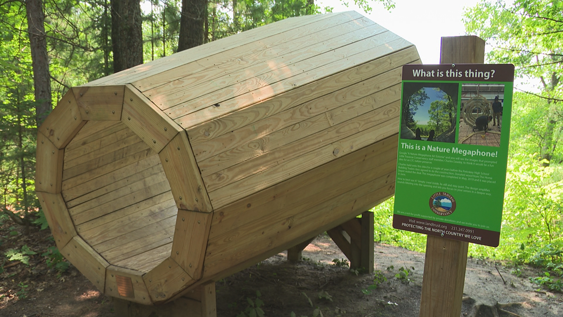 'Nature's Megaphone': Odd-shaped audio device amplifies Michigan woods ...