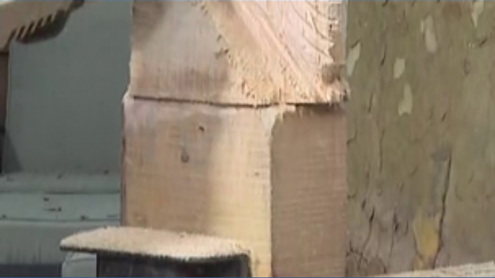 TIMELAPSE: Wood carver transforms block of wood into bird sculpture ...