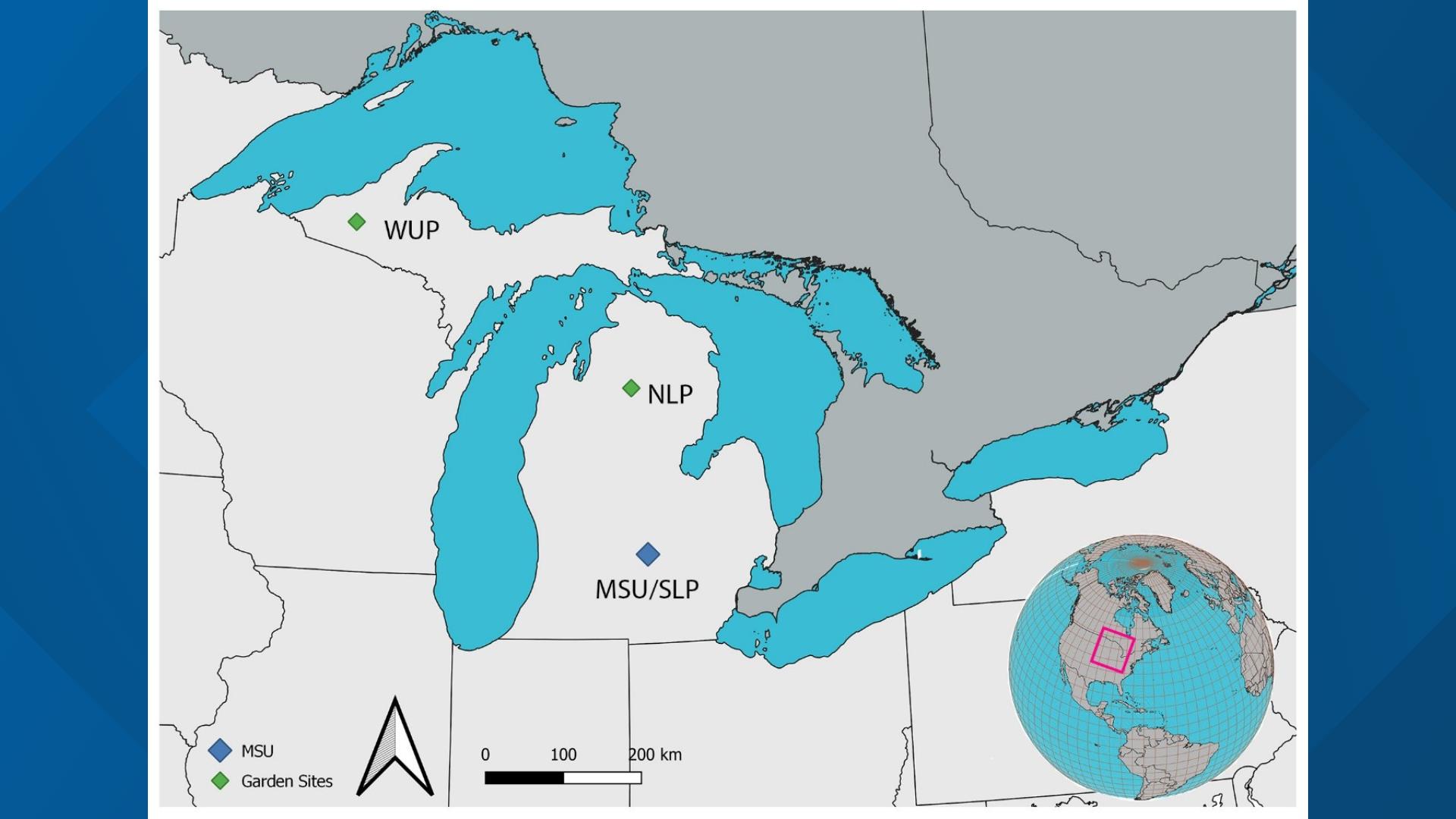 MSU researcher helping forests adapt to climate change | wzzm13.com