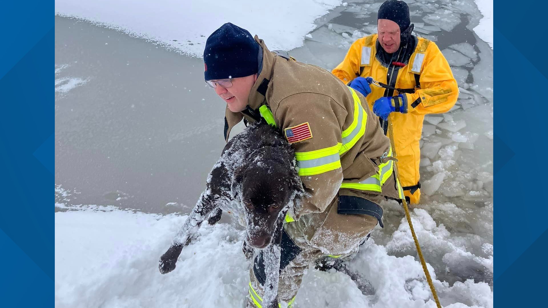 Dog safe after being rescued from frozen lake | wzzm13.com
