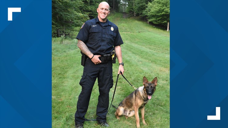 Grand Rapids Police K9 hurt in crash while responding to 911 call ...