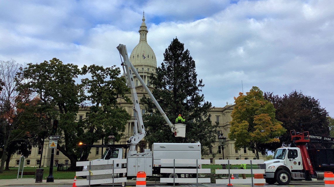 Michigan State Christmas tree arrives in Lansing | wzzm13.com