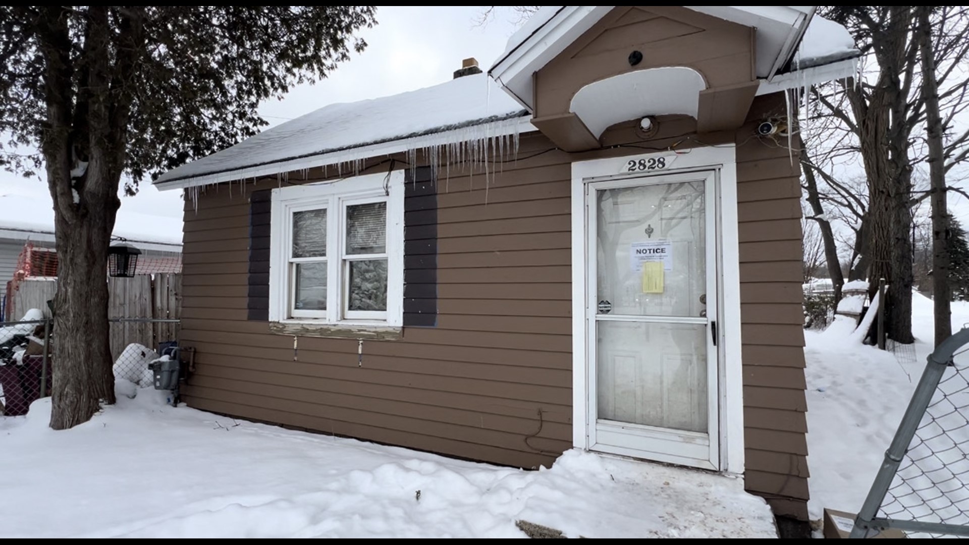 Woman charged with animal neglect asks judge for animal shelter ...